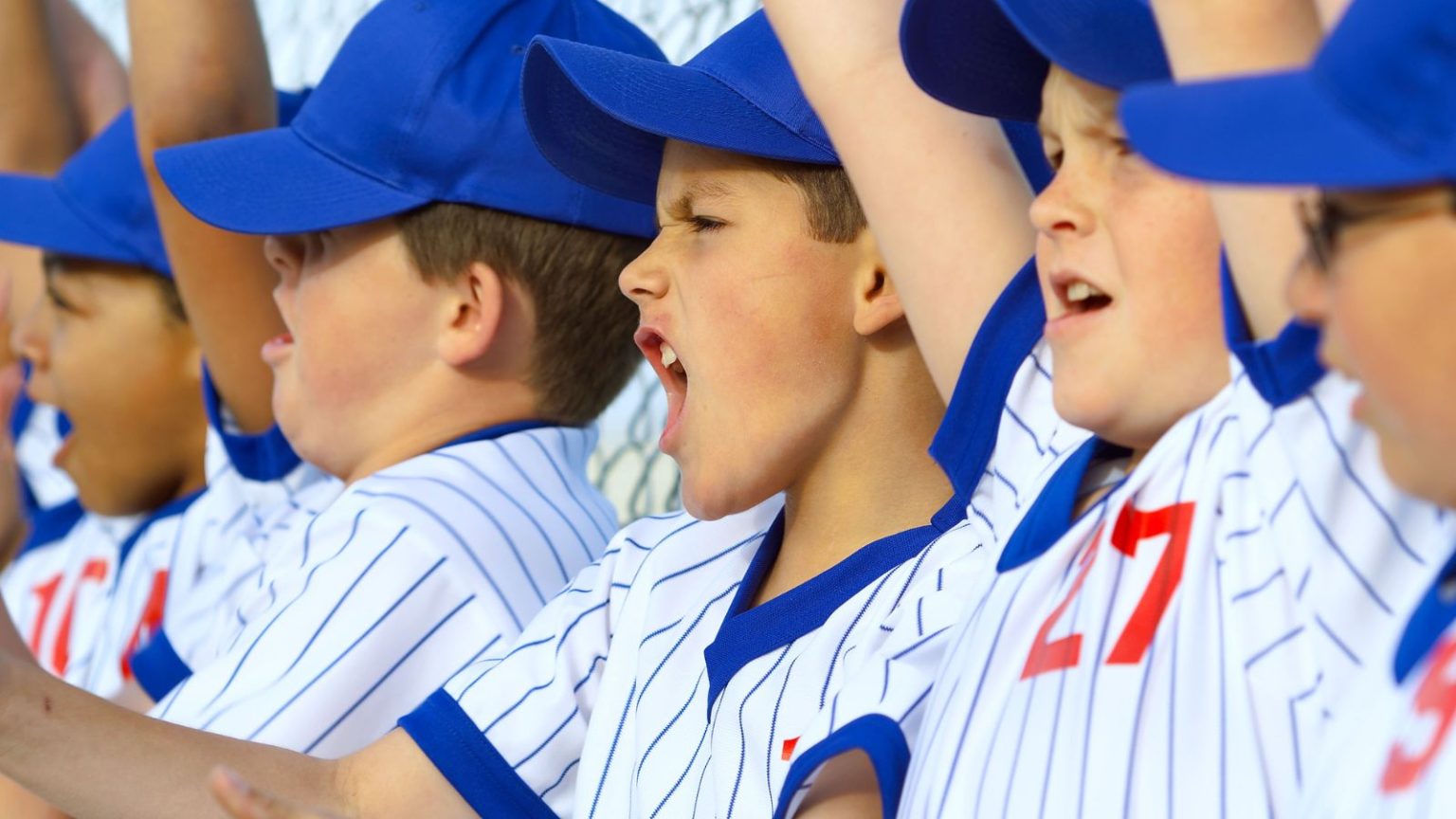 Baseball Team Roster & How Many Players Are on a Team?