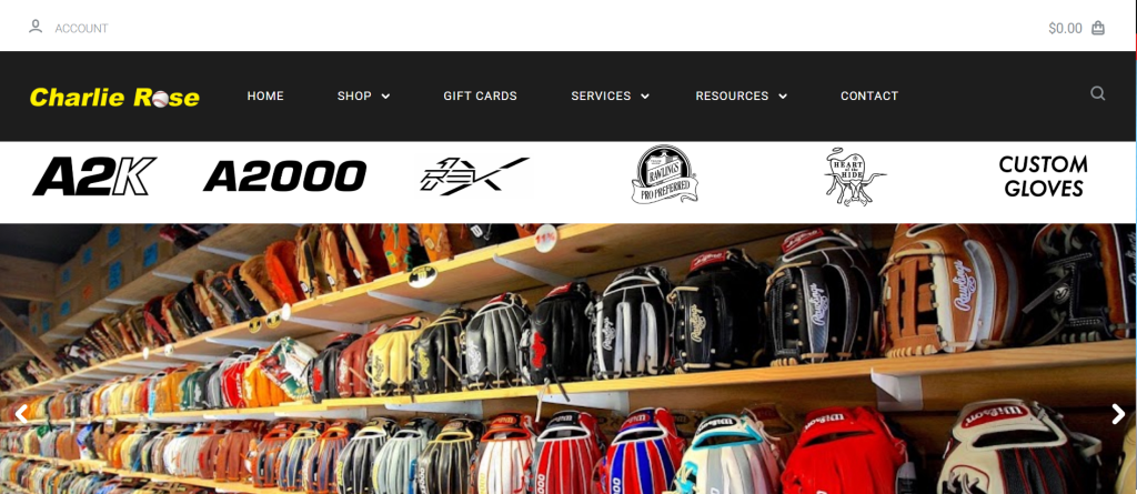 23 Best Baseball Brands for 2025: Gear Up Like a Pro
